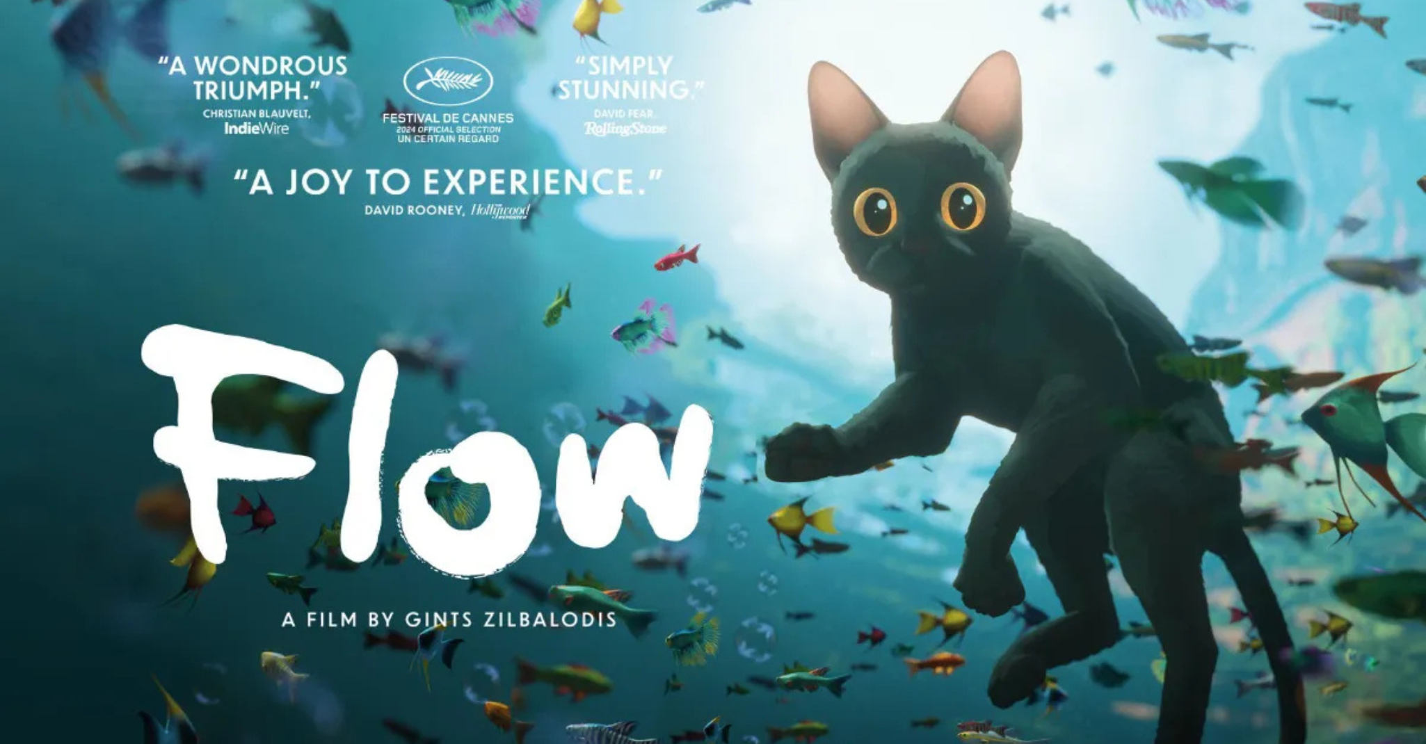 Flow (2025) - The Regal Cinema, Fordingbridge
