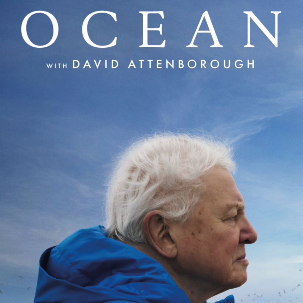 Ocean With David Attenborough (2025) - The Regal Cinema, Fordingbridge
